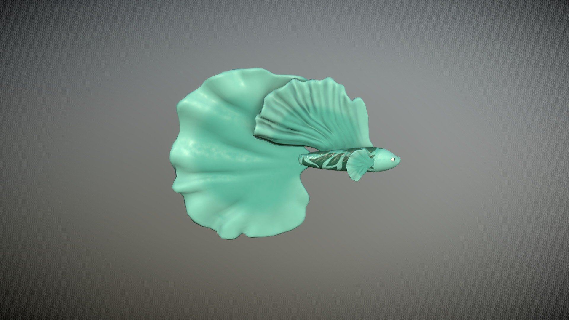 Betta Fish - 3D model by artcecilie [ea17291] - Sketchfab