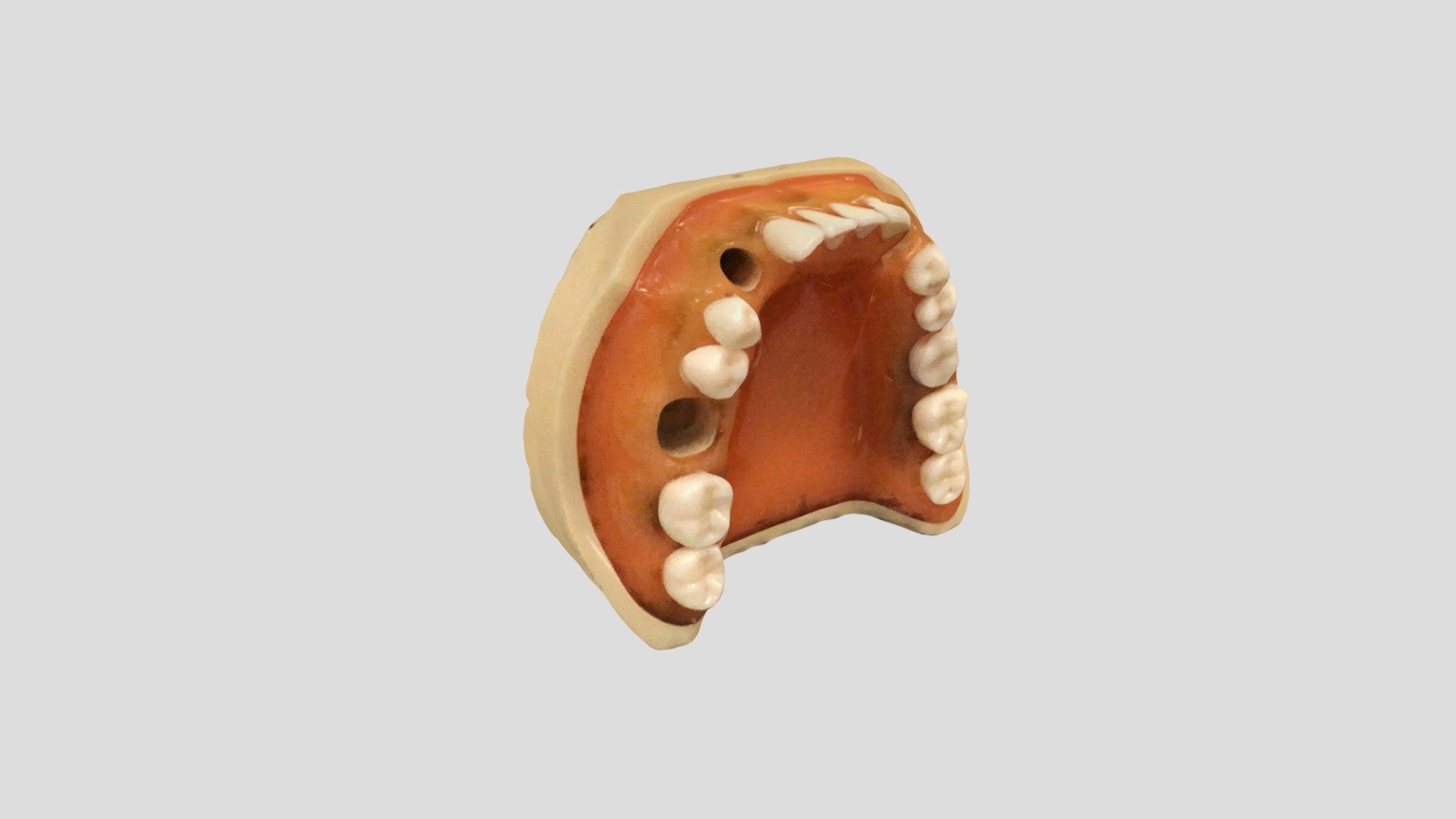 Teeth - 3D model by victorCADmech [ea234e3] - Sketchfab