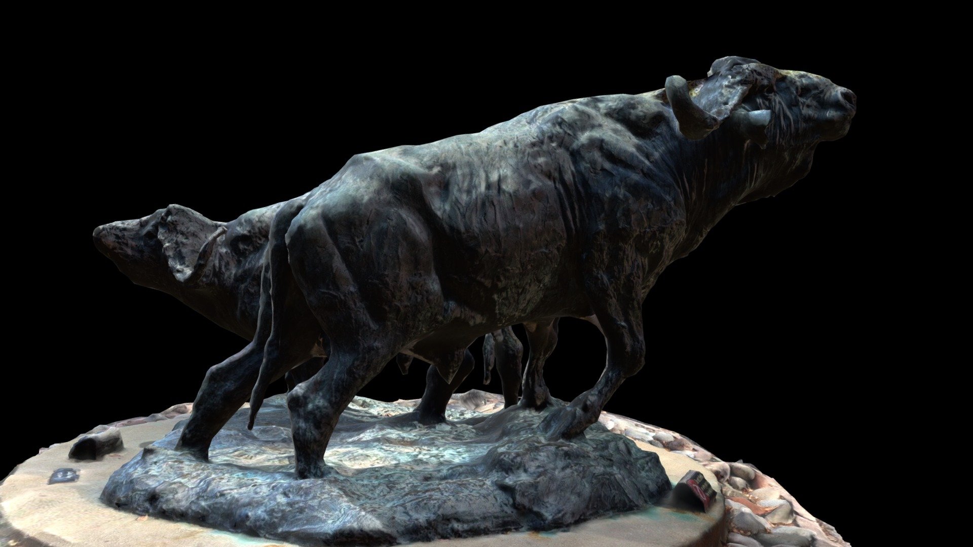 Cape Buffalo Statue St Louis Zoo - 3D model by JavierTorres [ea3973b ...