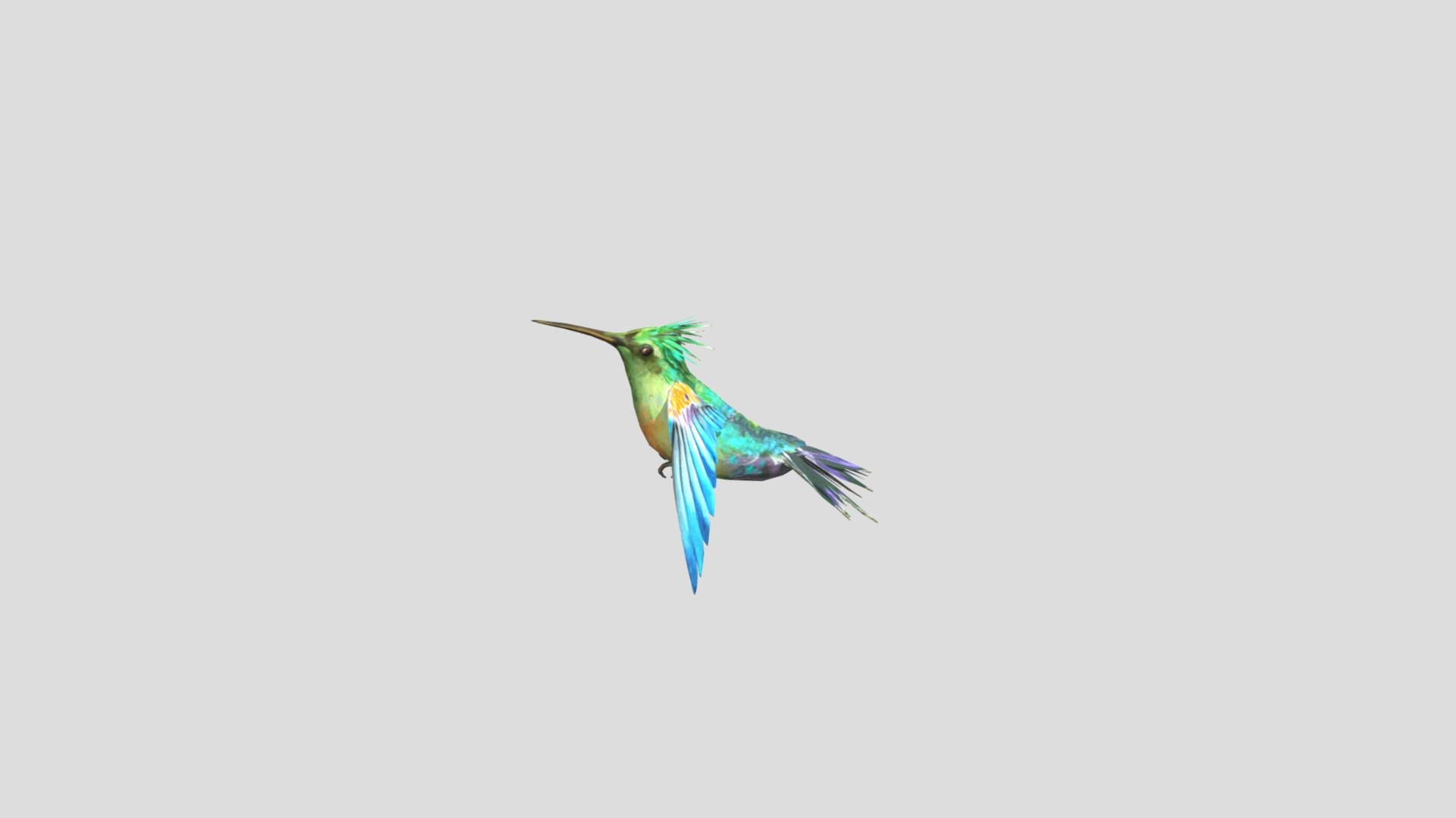 Hummingbird - 3D model by jokerZhang [ea39eb1] - Sketchfab