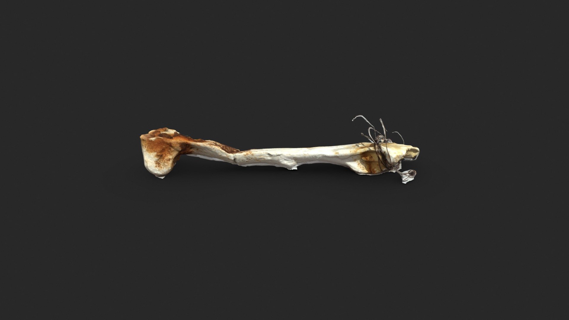 Gail Hocking - Quiet Disturbance - 5 - 3D model by Cultivamos Cultura ...