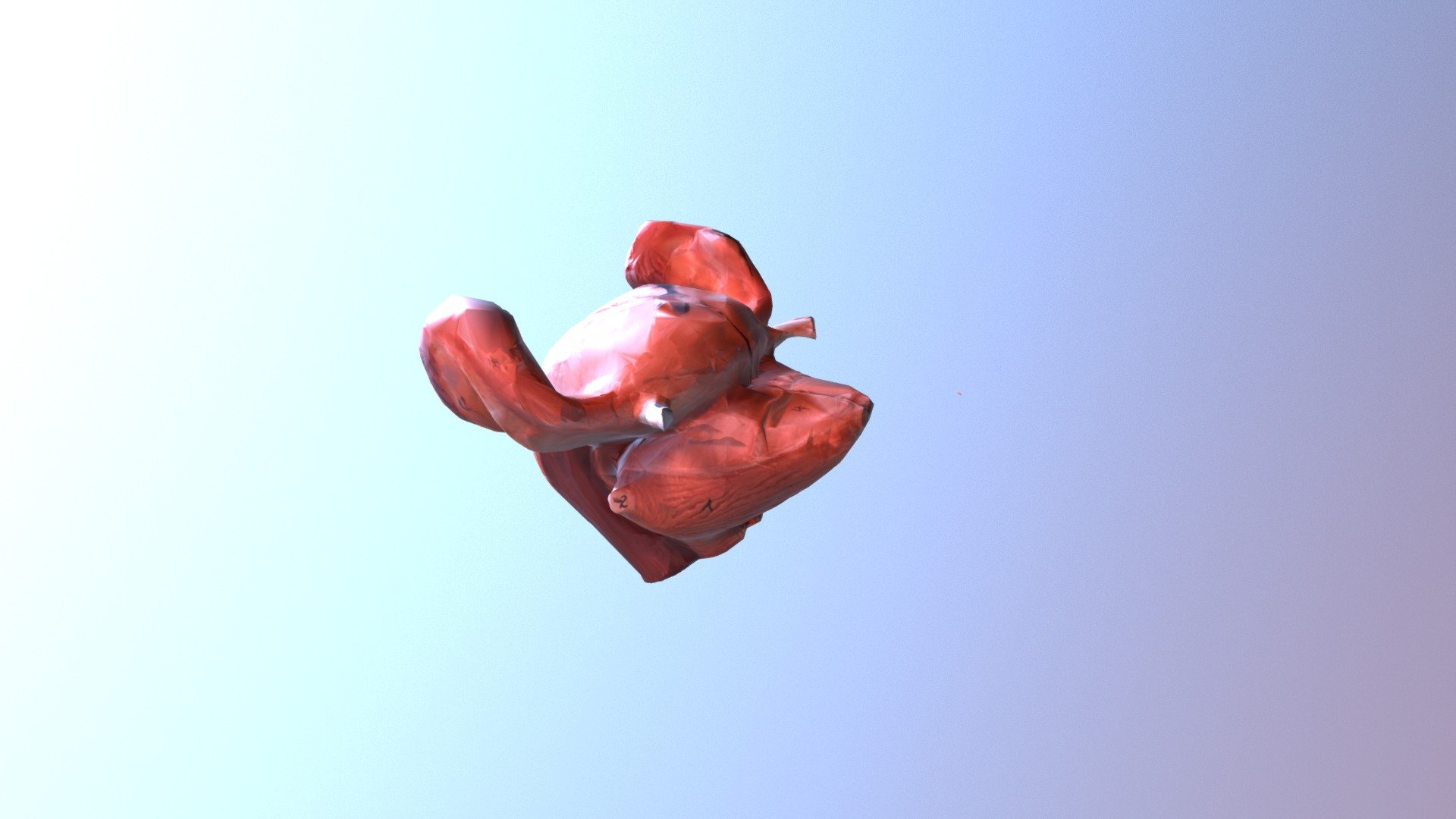 Ovaries - 3D model by hw482 [ea5a4ee] - Sketchfab