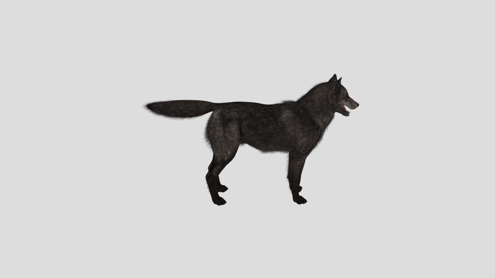 COD Ghosts Wolf Puppy - Download Free 3D model by ...