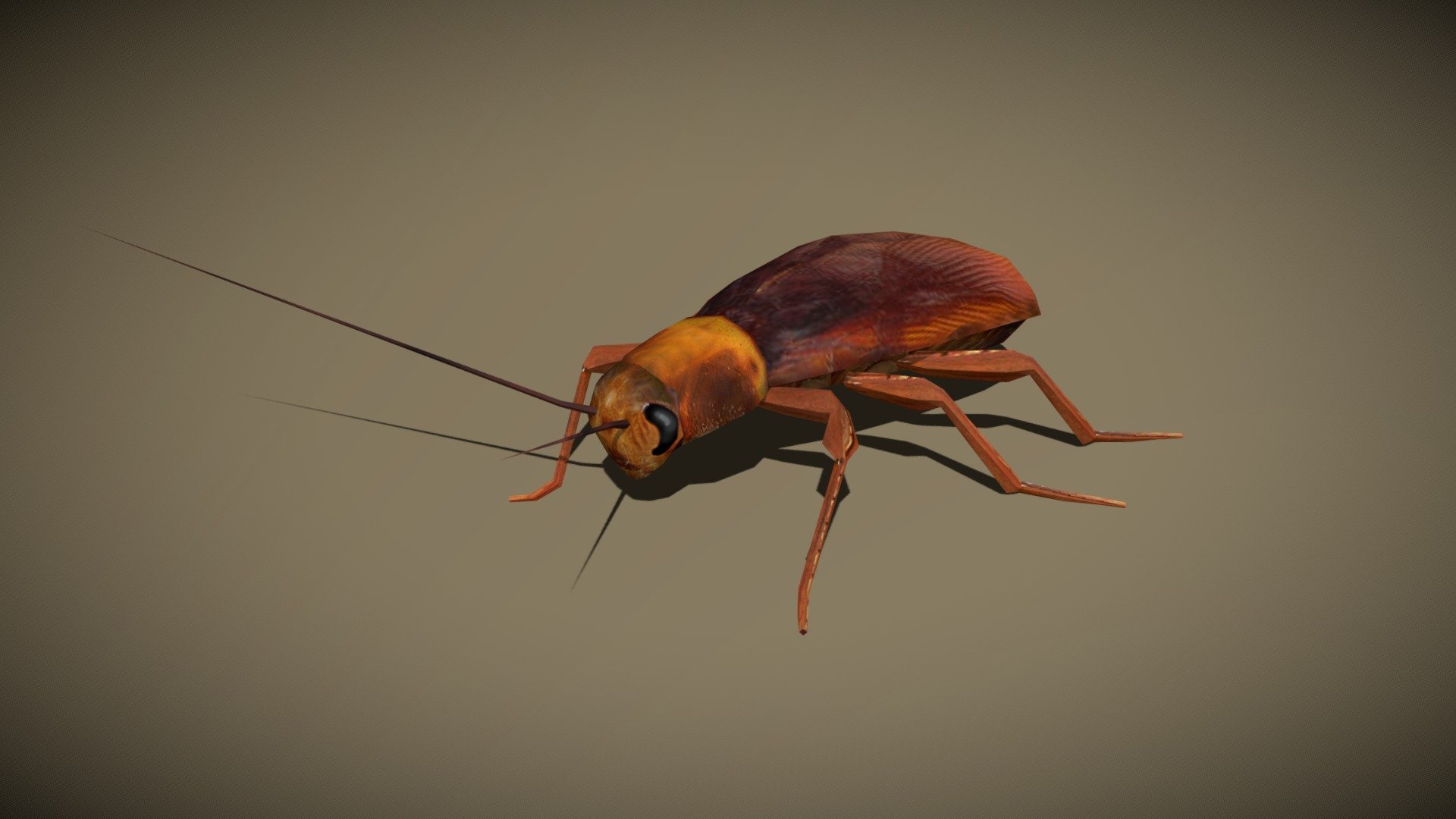 3DRT - birds and critters - cockroach - 3D model by 3DRT.com [ea6b8c2 ...