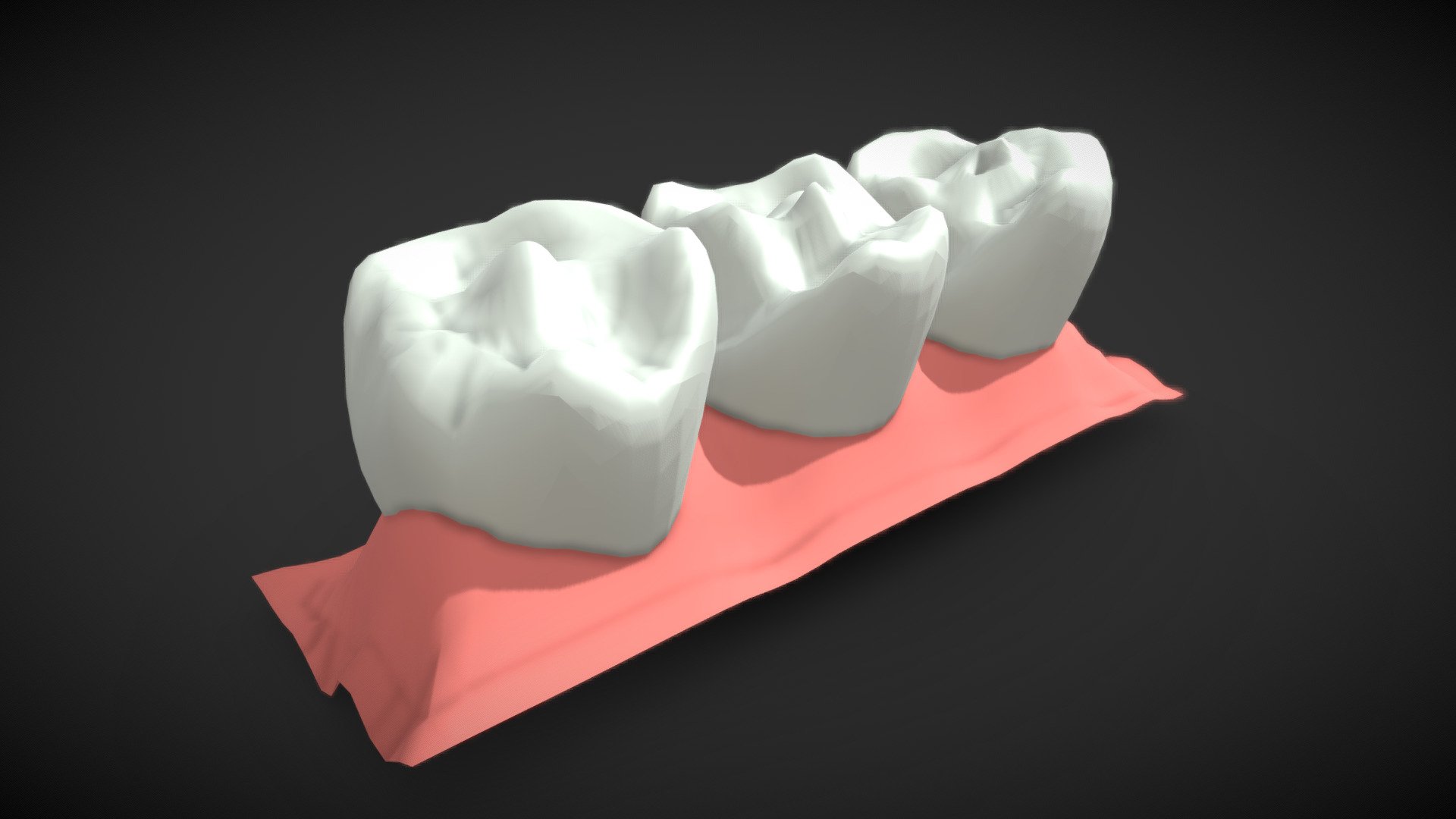 Human Teeth - Download Free 3D model by 3D EduTex (@Yasama) [ea6f6eb ...