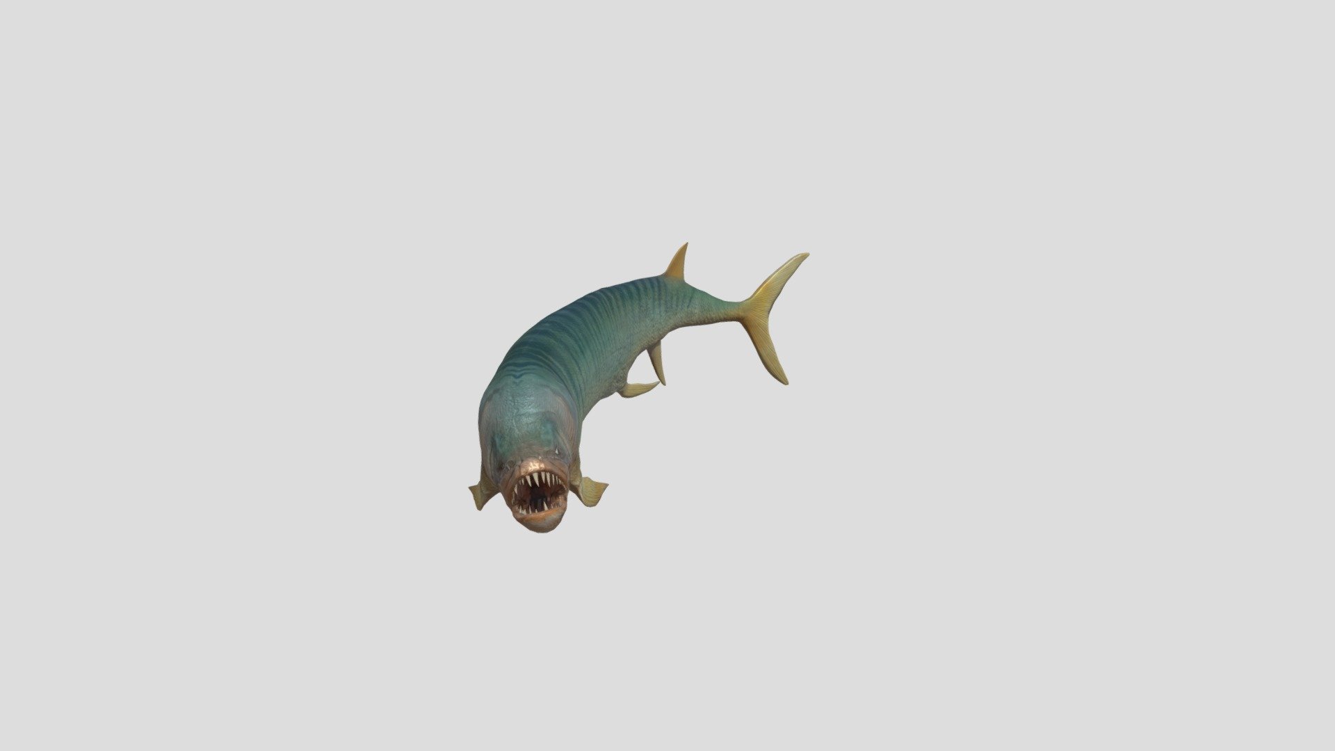 XIPHACTINUS - Download Free 3D model by hendrikReyneke [ea7e9c9 ...