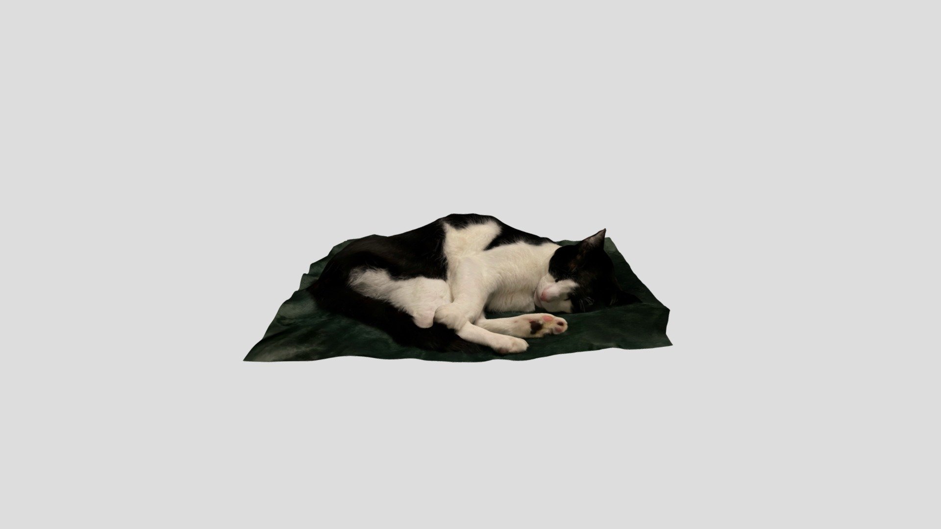 Cat Sleeping - 3D model by edmodelling [ea80ec0] - Sketchfab