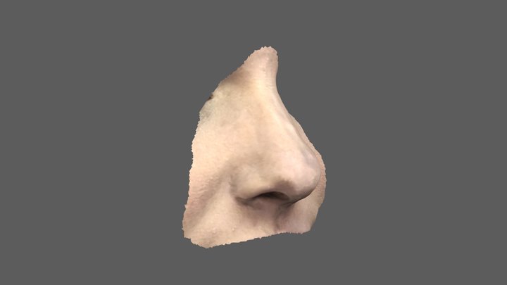 Nariz 3D models - Sketchfab