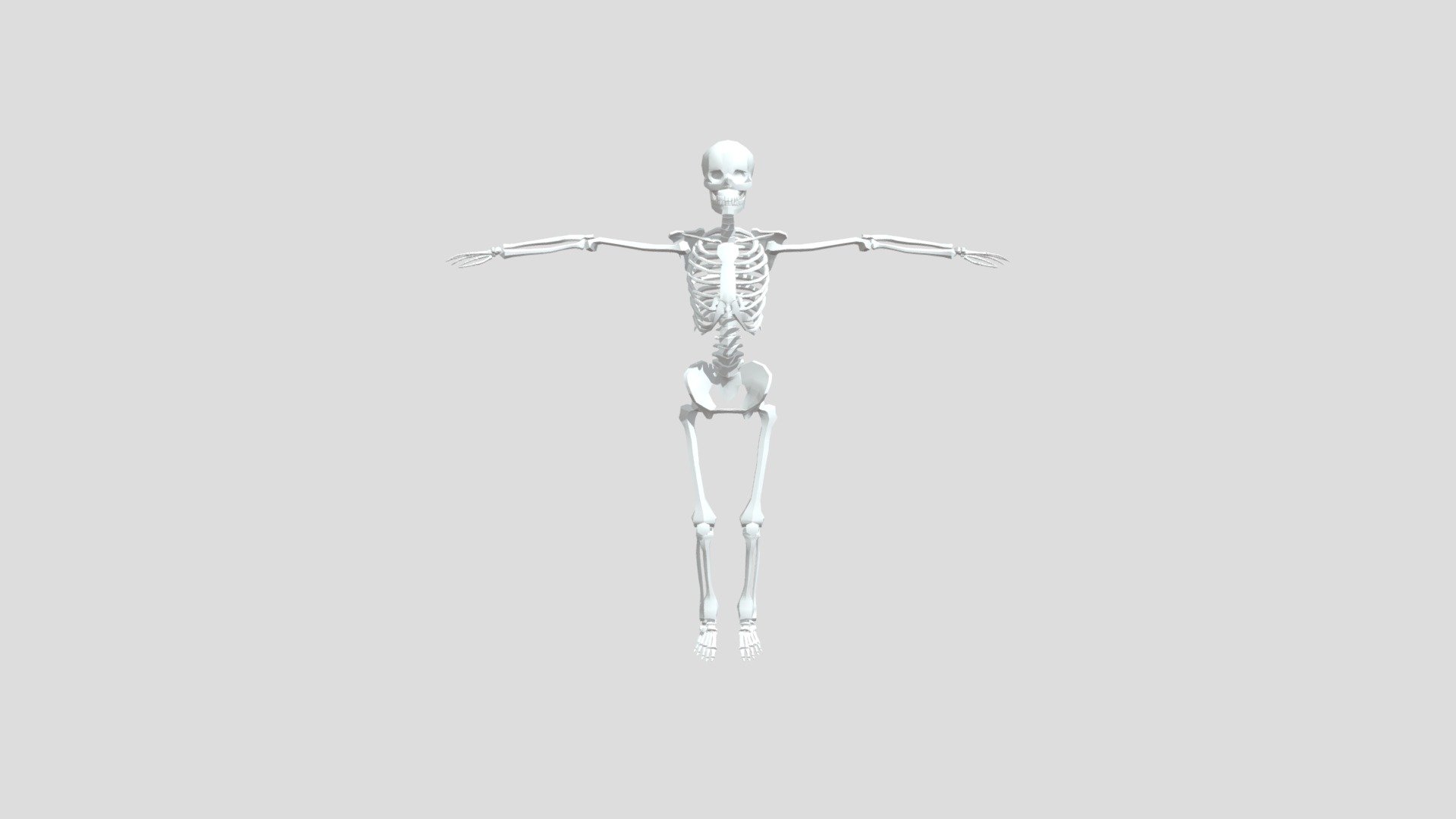 Skeleton - 3D model by Tristan Kempen (@vcauxilum) [ea84ff0] - Sketchfab