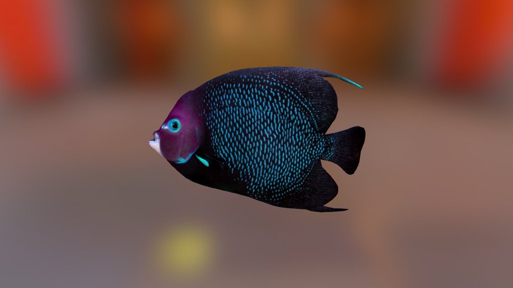 coral fish - Download Free 3D model by polyplant3d [ea8d002] - Sketchfab