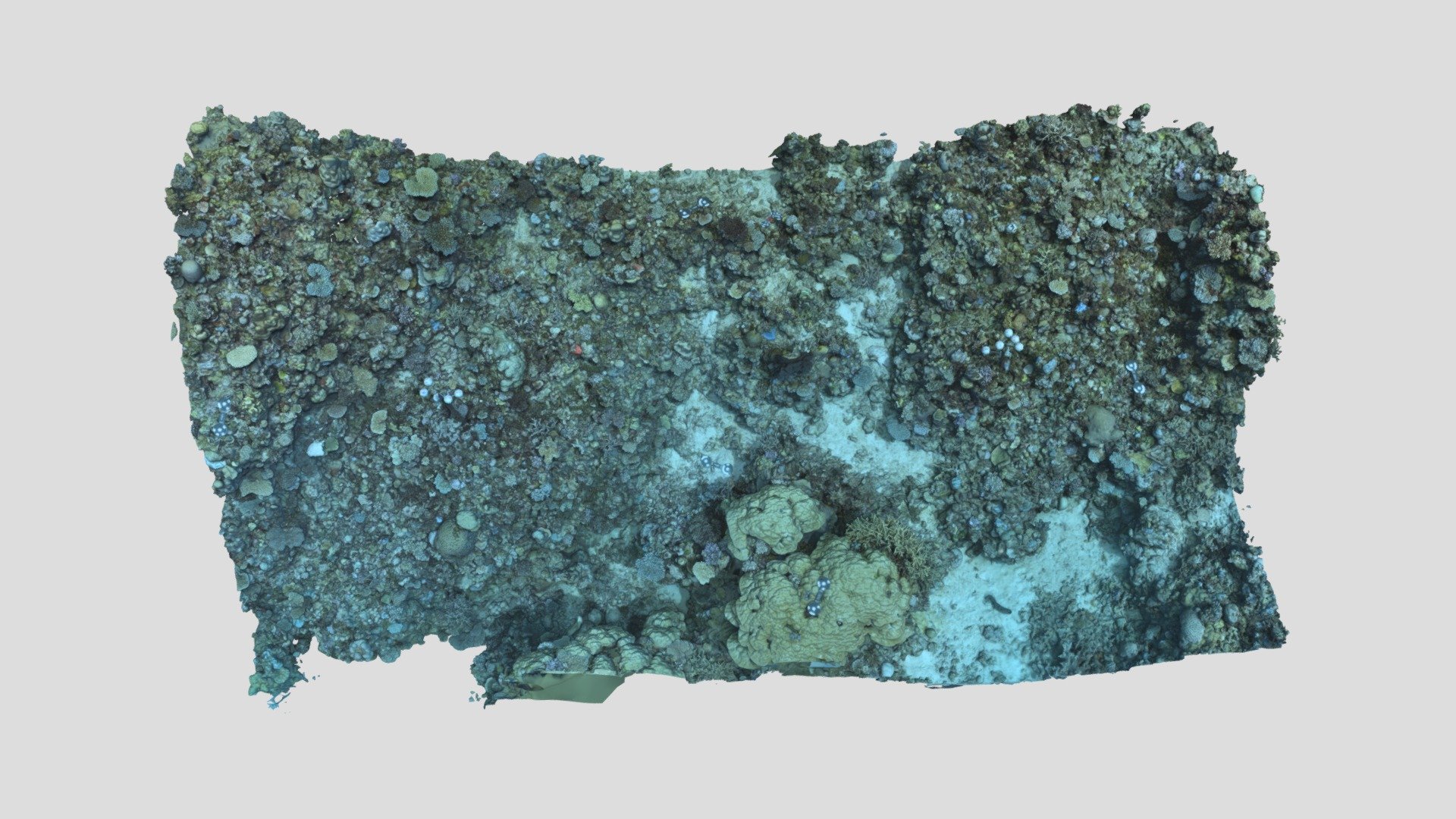 Davies_FR1D_P3_202201 - 3D model by EcoRRAP (@AIMSEcoRRAP) [ea96d67 ...