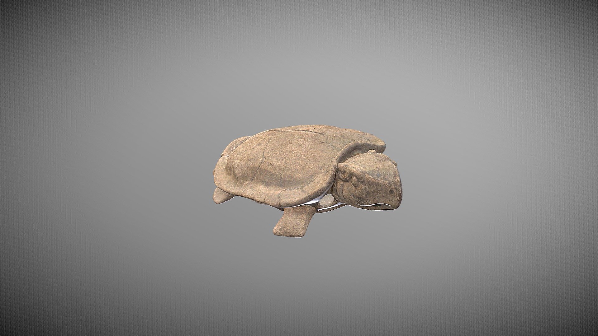 Tortuga Marina - 3D model by DMLG [eaa28c5] - Sketchfab