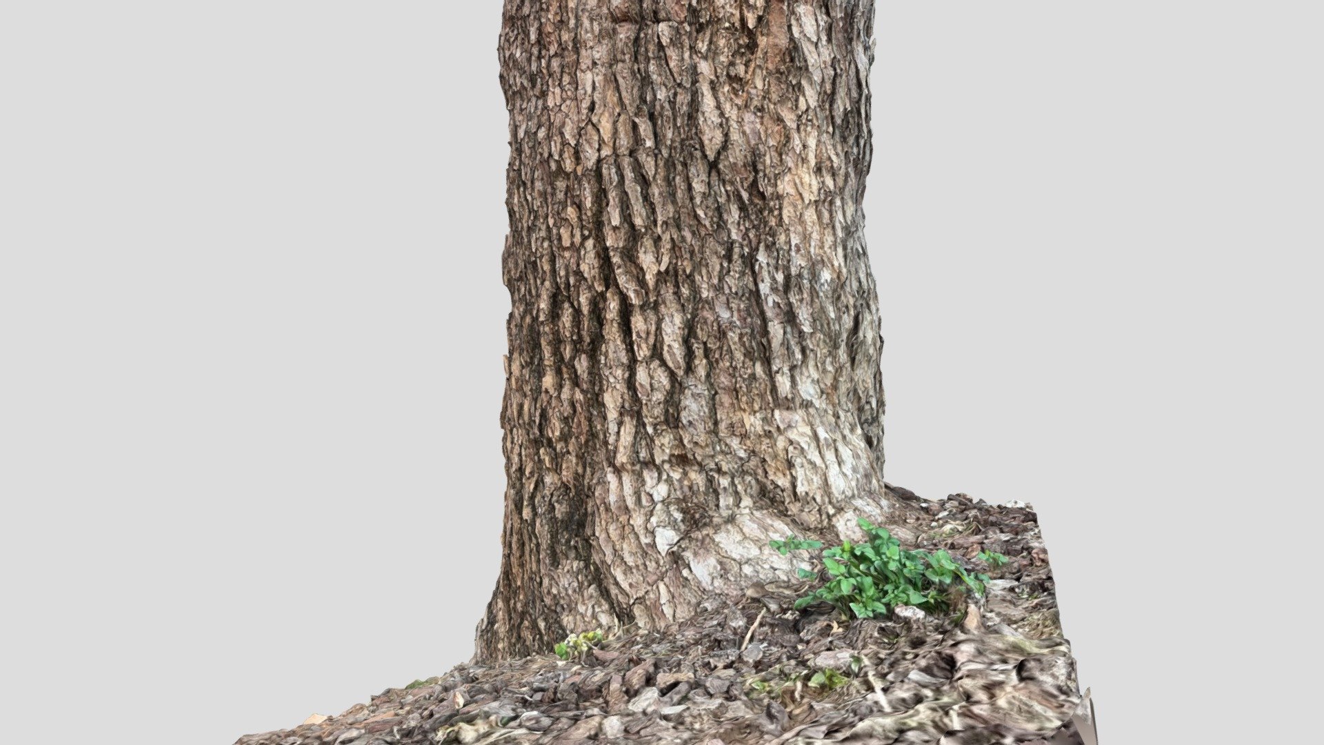 Old tree - Download Free 3D model by Binhou (@a98b98c98) [eaa6f90 ...