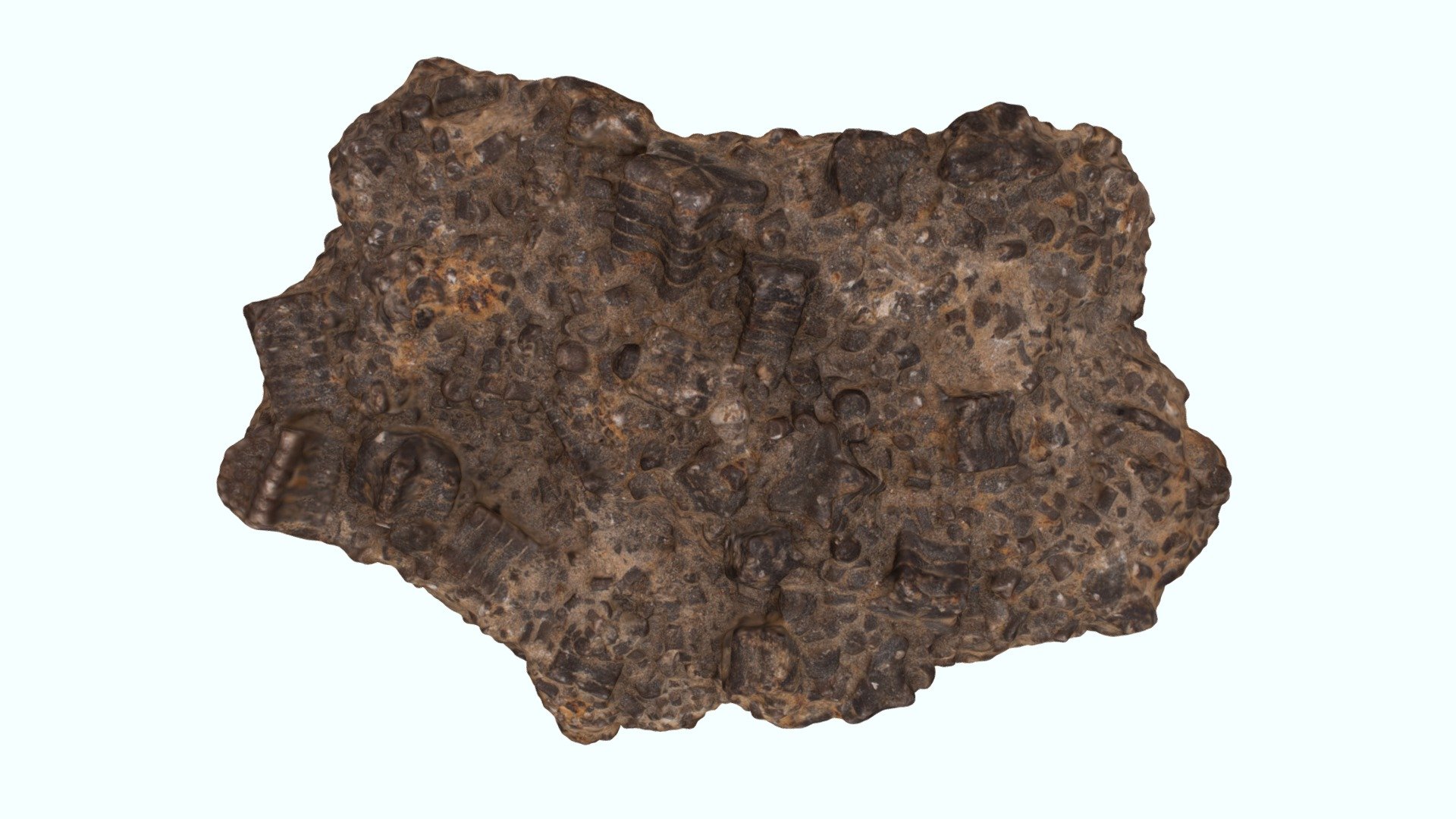 Calcaire à entroques - 3D model by Ecole Nationale Supérieure de ...
