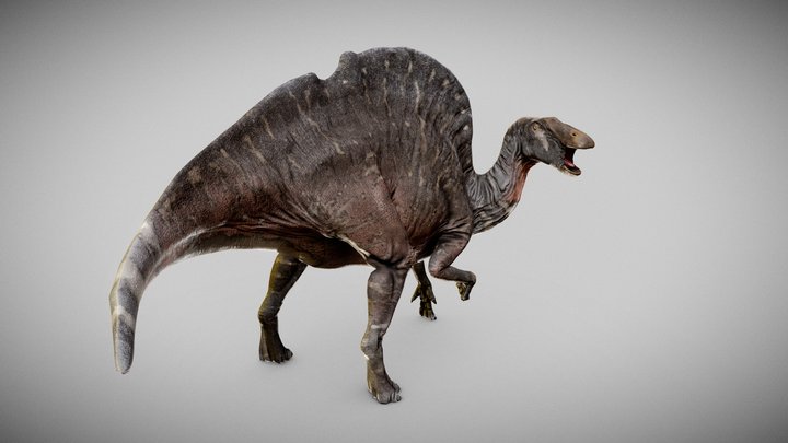 Dinosaurs 3D models - Sketchfab