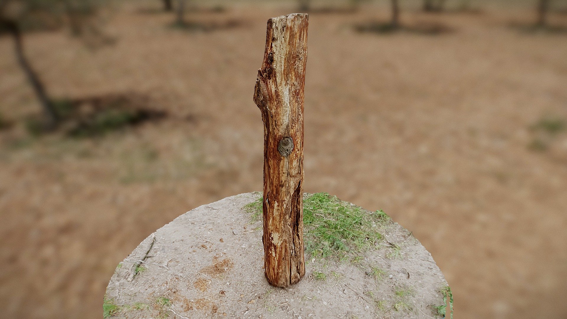 Wood Stick - Download Free 3D model by lil_bentley [eabdd2f] - Sketchfab