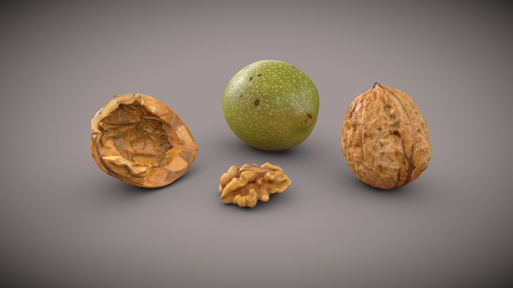 Walnut 3D models - Sketchfab