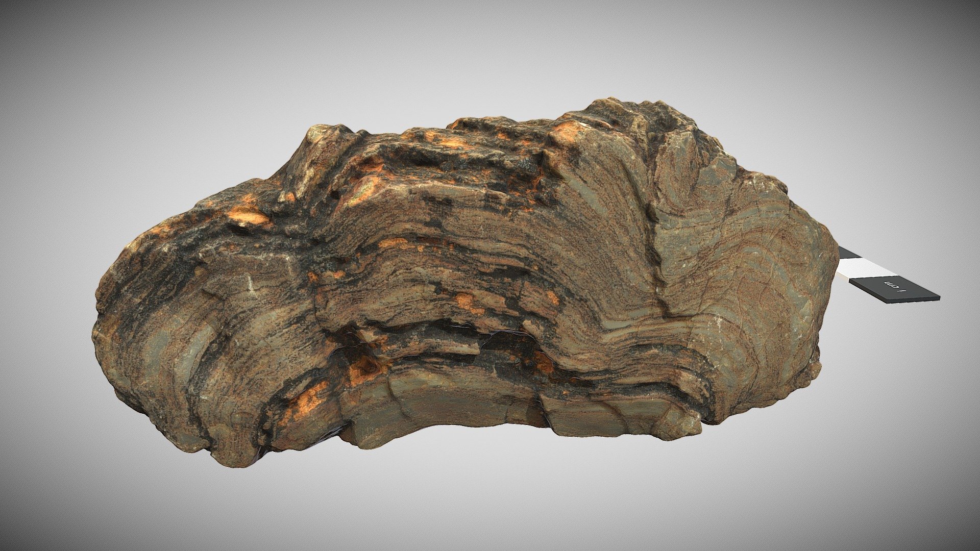 Bitter Springs stromatolite (domal form) - 3D model by UQ School of the ...