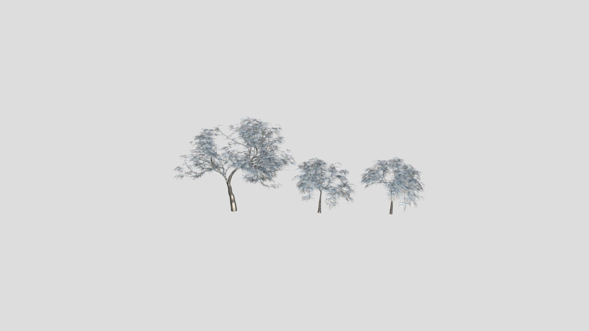 Cherry_blossom_trees (1) - 3D model by Fahadarch [eac55c9] - Sketchfab