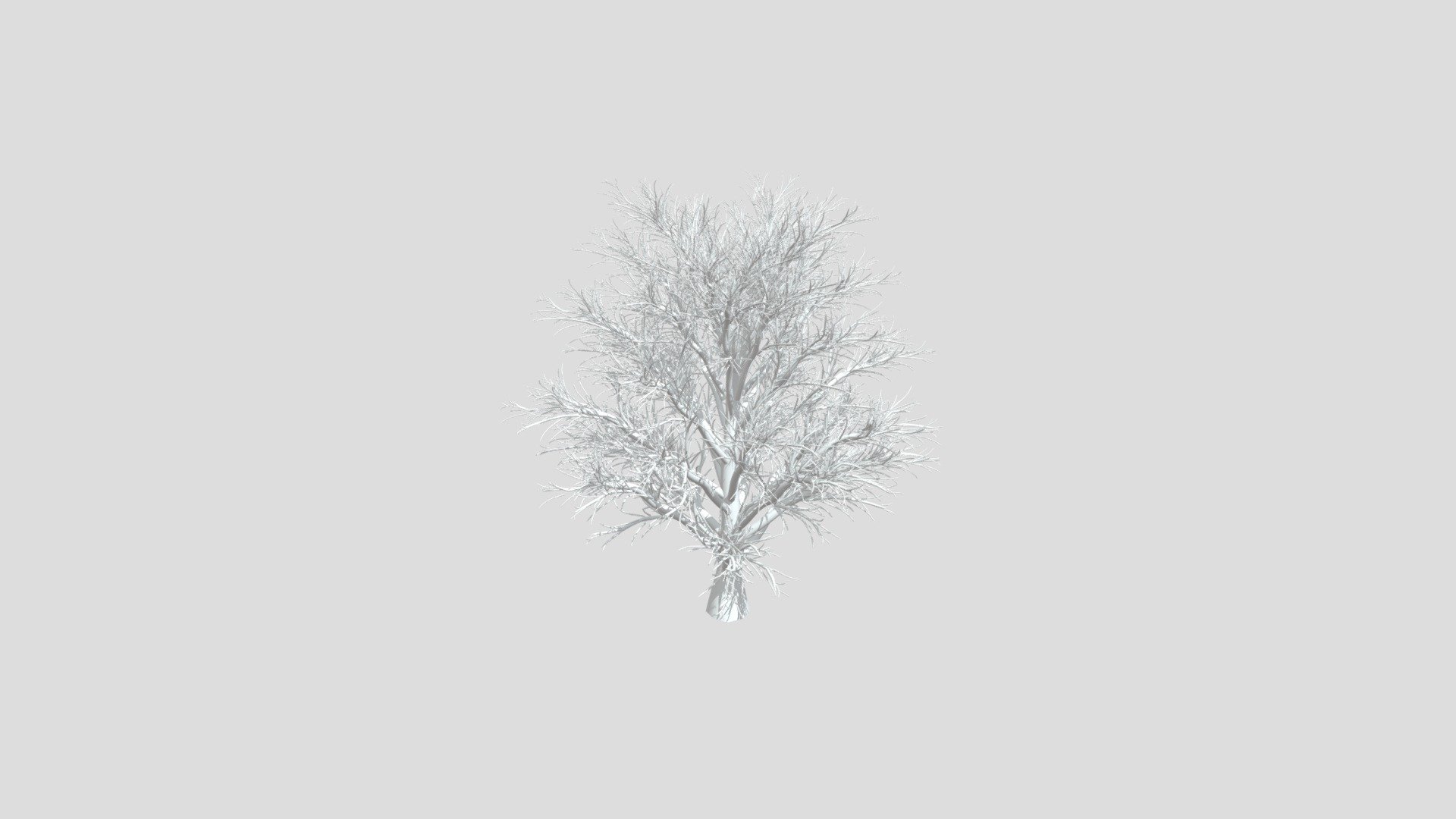 Chestnut Tree - no texture - 3D model by worksbymaria [eac5ae9] - Sketchfab