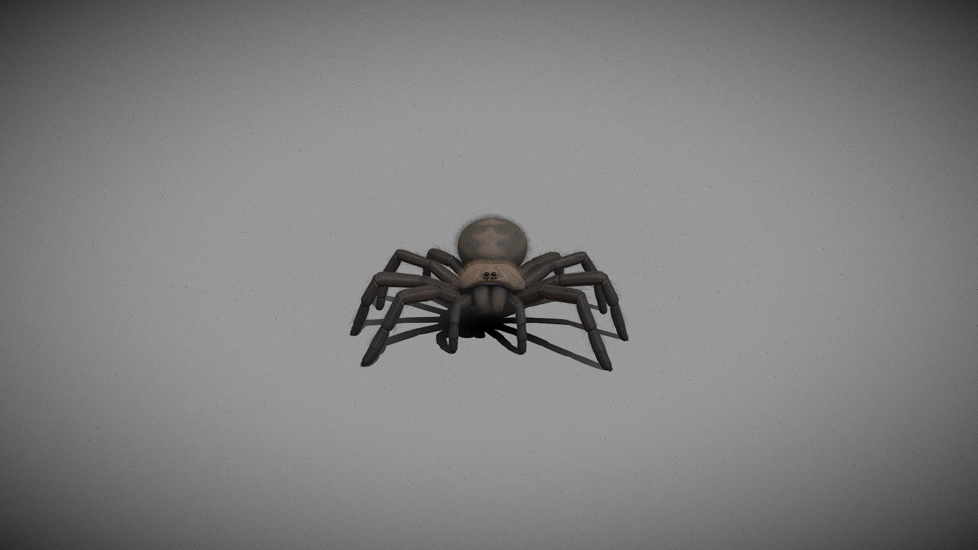 Spider Tarantula Brown - Fab Link - 3D model by Nakler'sWork (@Nakler ...