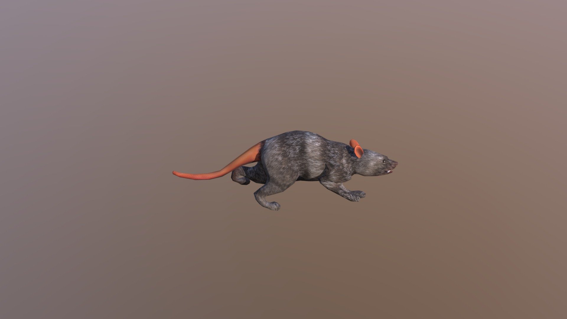 Sneak Rat - 3D model by Bloodymirjocic [ead2670] - Sketchfab
