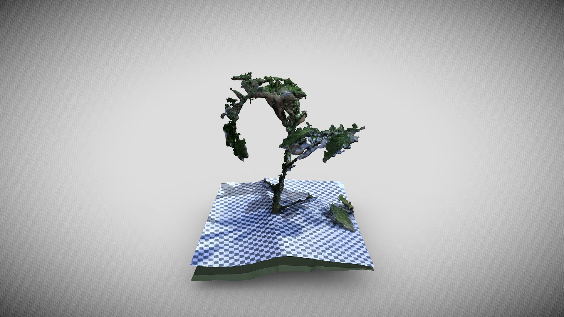 1_clean_edit_2_obj - 3D model by timts [eae0ae9] - Sketchfab