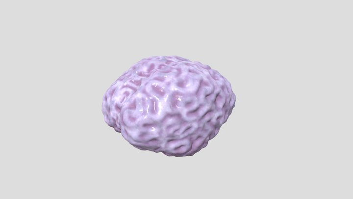 Organs 3D models - Sketchfab