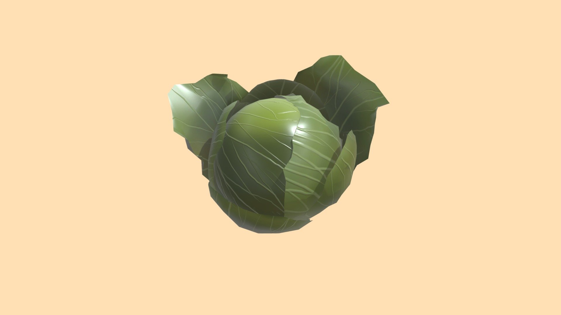Cabbage - Download Free 3D model by RStorer152 [eae668f] - Sketchfab