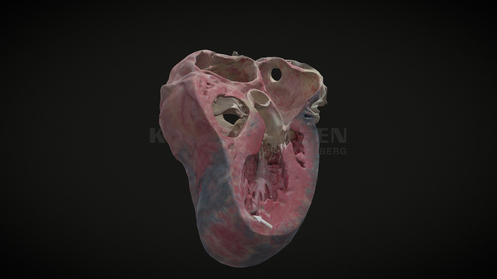 Heart Low-poly textured - 3D model by Dimension3 [eae6c8d] - Sketchfab
