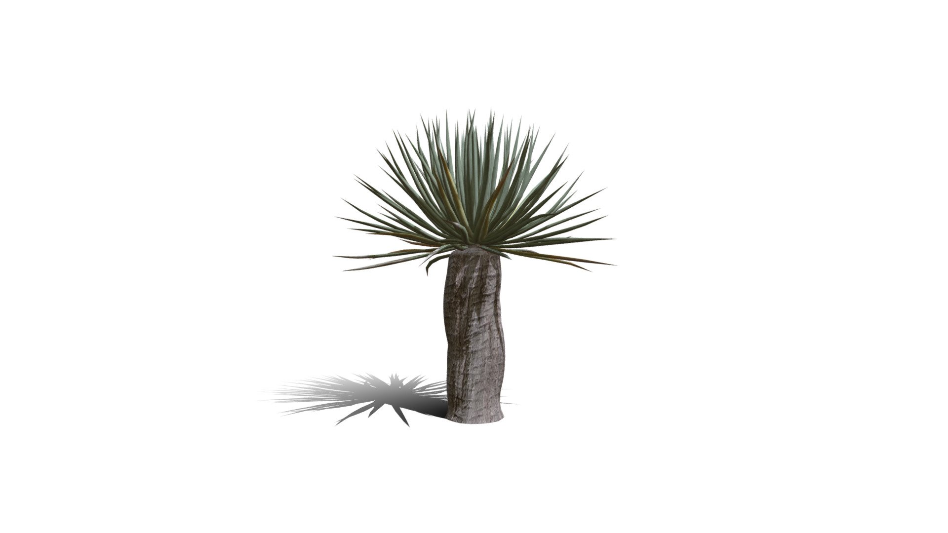 Realistic HD Dragon tree (36/50) - Buy Royalty Free 3D model by ...