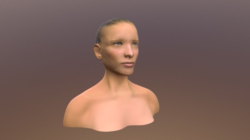 Girl Bust - wip - 3D model by Arlindo Neto (@arlindo.netooo) [eaf8e01 ...