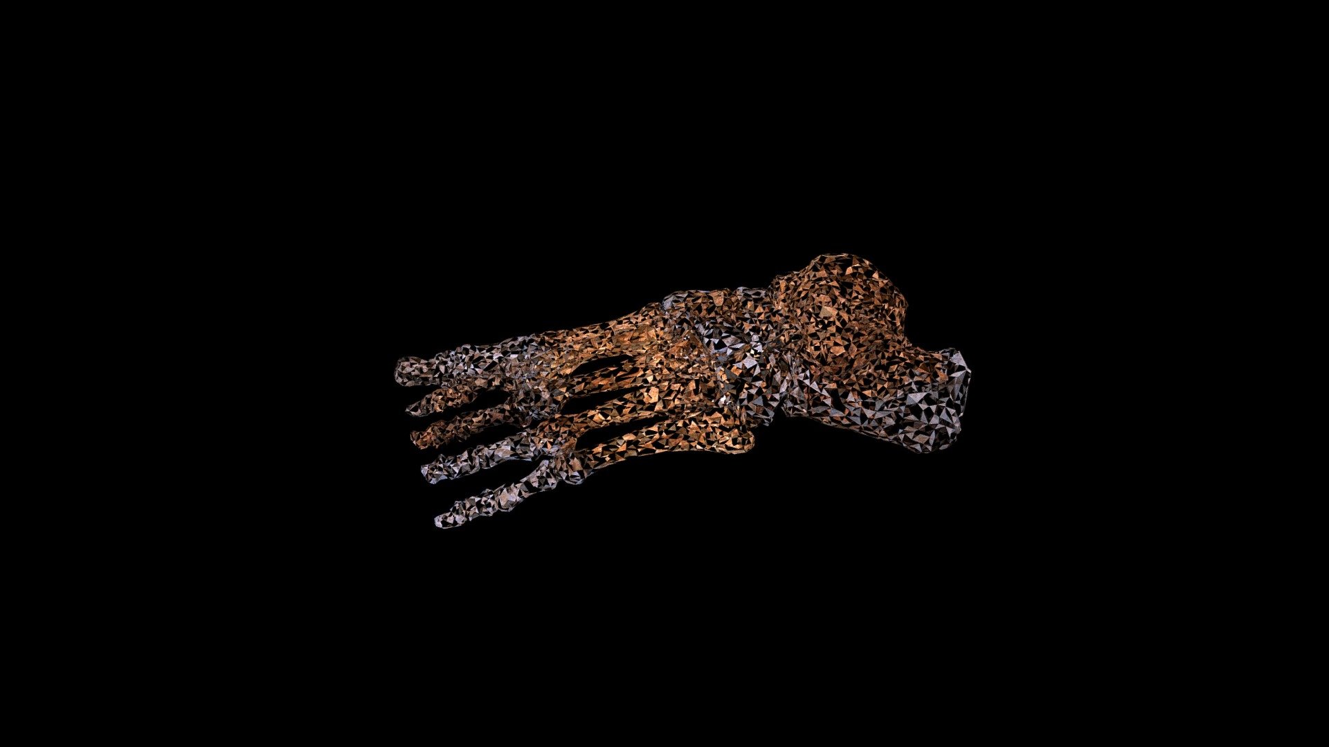 Neanderthal Foot - 3D model by seminarsonscience [eafe7a9] - Sketchfab