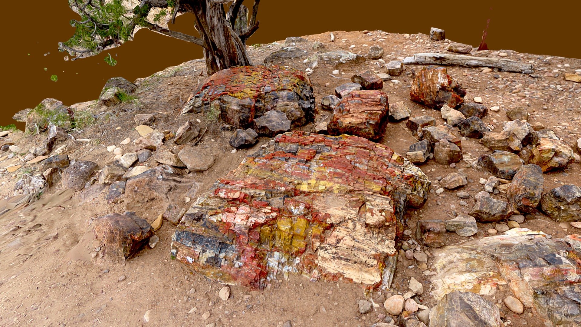Petrified Wood Chunks - 3D model by John Toeppen (@toeppen) [eb0670c ...