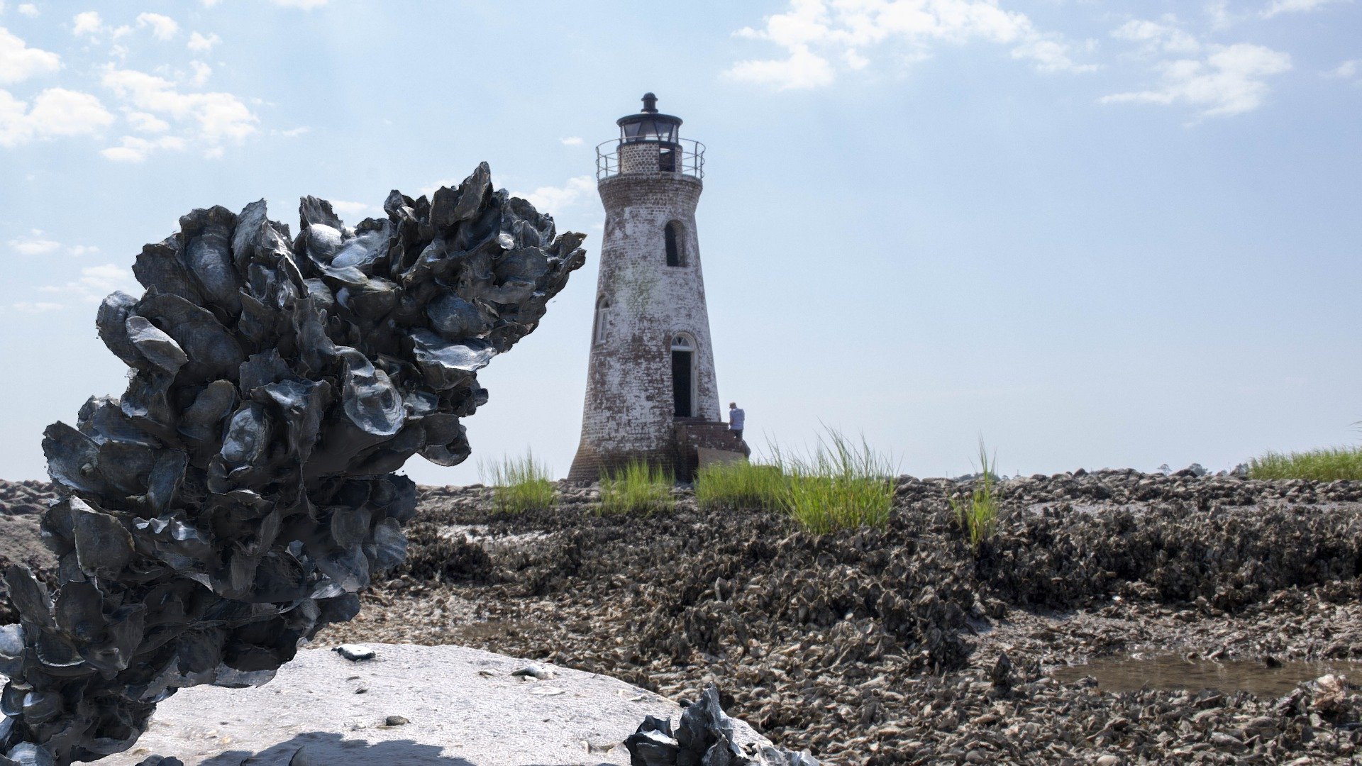 Cockspur Oyster Colony - 3D model by kagidusko [eb07ace] - Sketchfab