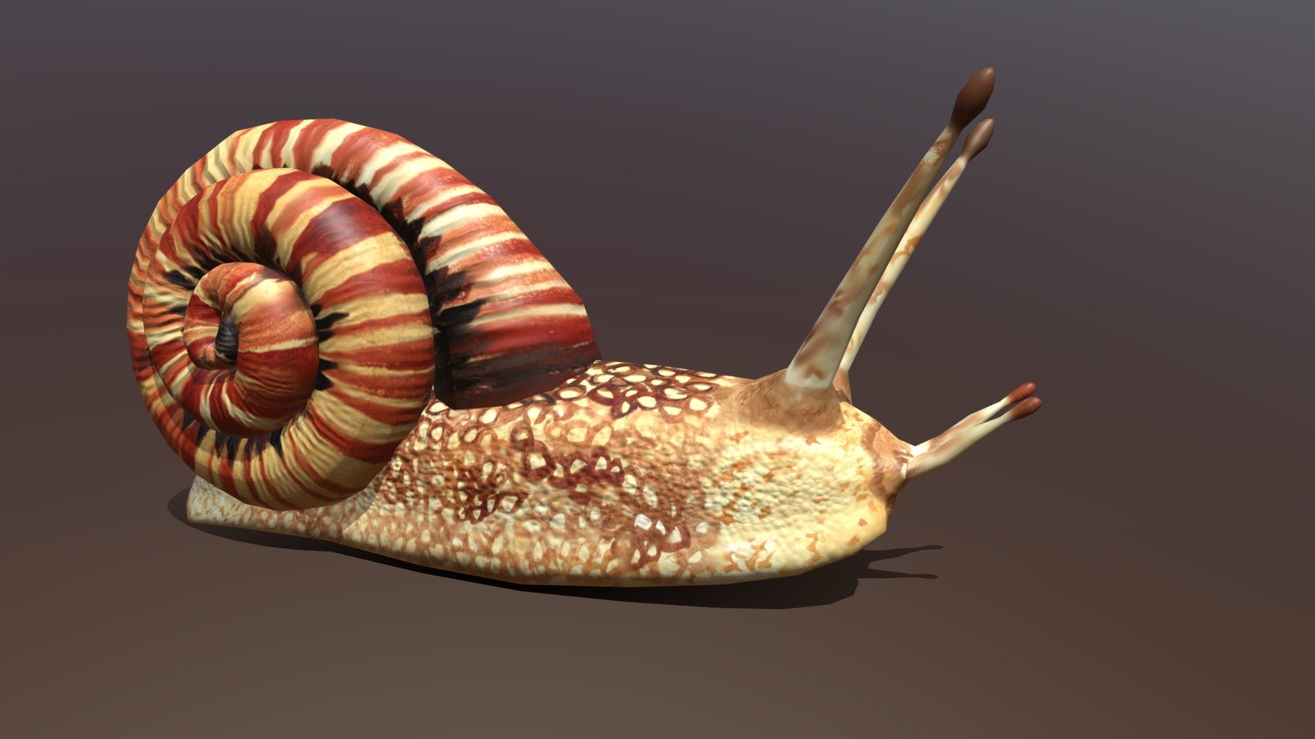 Snail - Download Free 3D model by Vera4Art (@Elvera.Viljoen) [eb0e20e ...