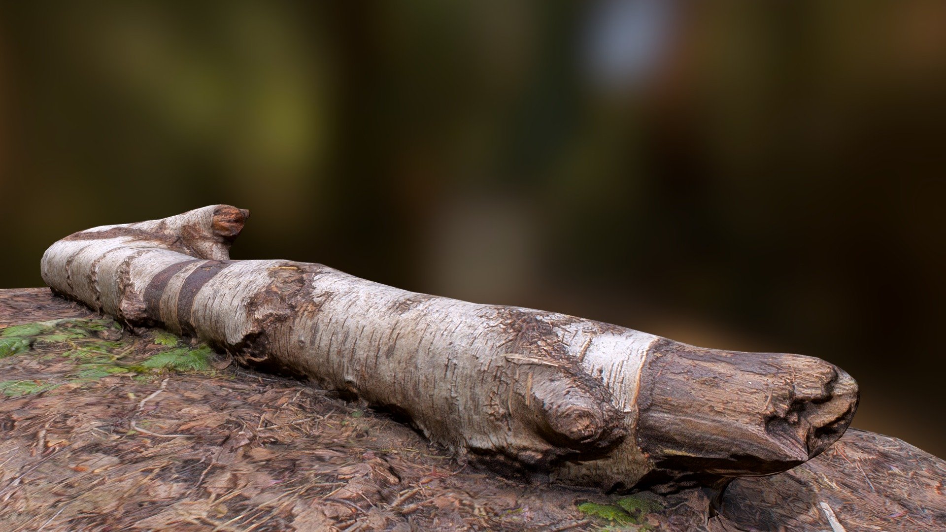 Tree Log - Photogrammetry - 3D model by nray [eb0f6fe] - Sketchfab