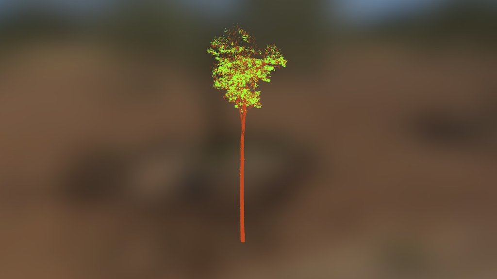 Amazon FACE tree 2 - 3D model by mdisney [eb2c2e1] - Sketchfab