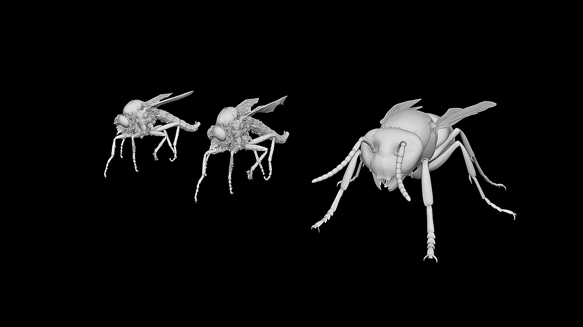 Insect comparison of 3D scanning and modeling - 3D model by pecjiri ...