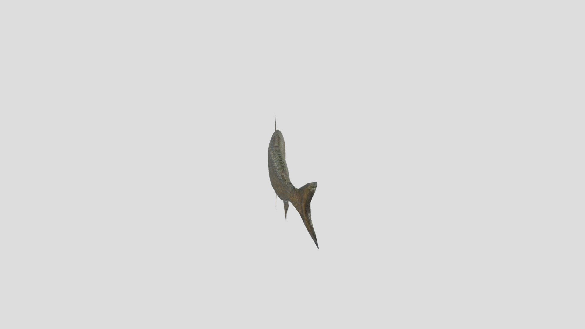Coregonus Migratorius fish | Baikal lake omul - Download Free 3D model ...