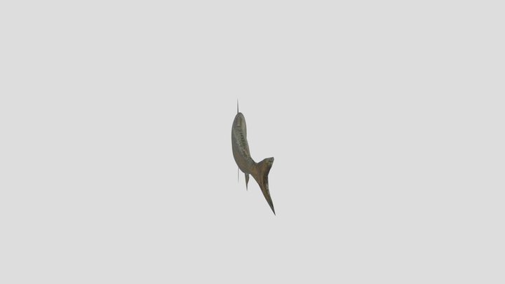 Omul 3D models - Sketchfab