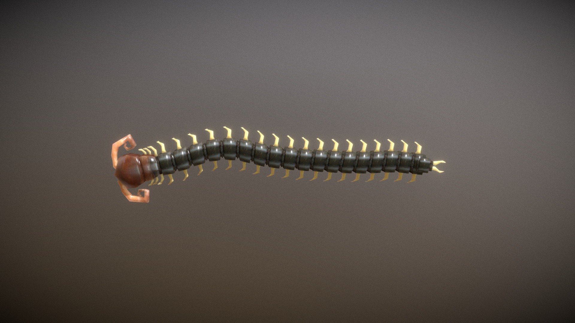 Centipede - Download Free 3D model by dartuchiwa [eb3962d] - Sketchfab