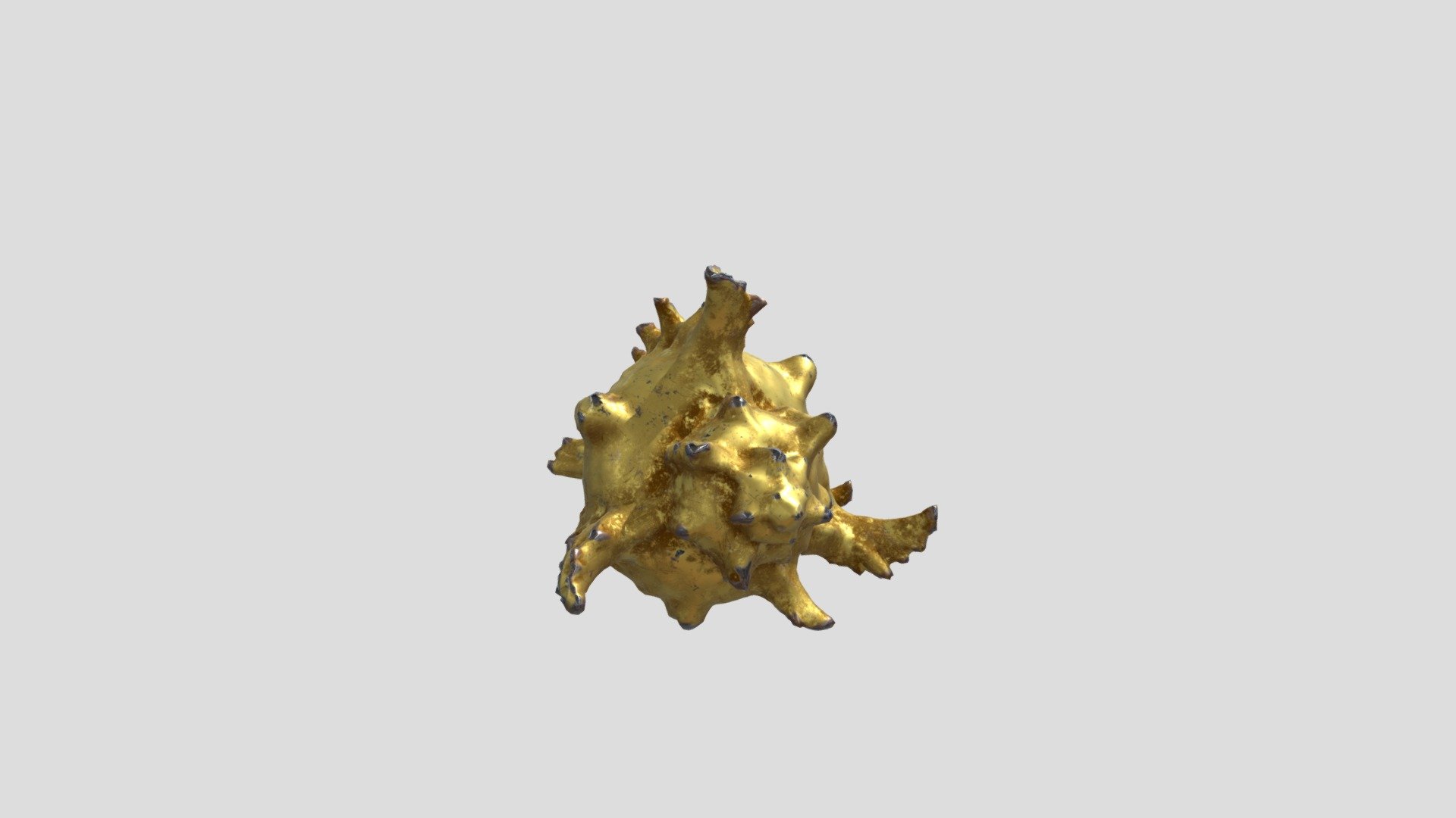conch - Download Free 3D model by vppp123 [eb3dcd3] - Sketchfab