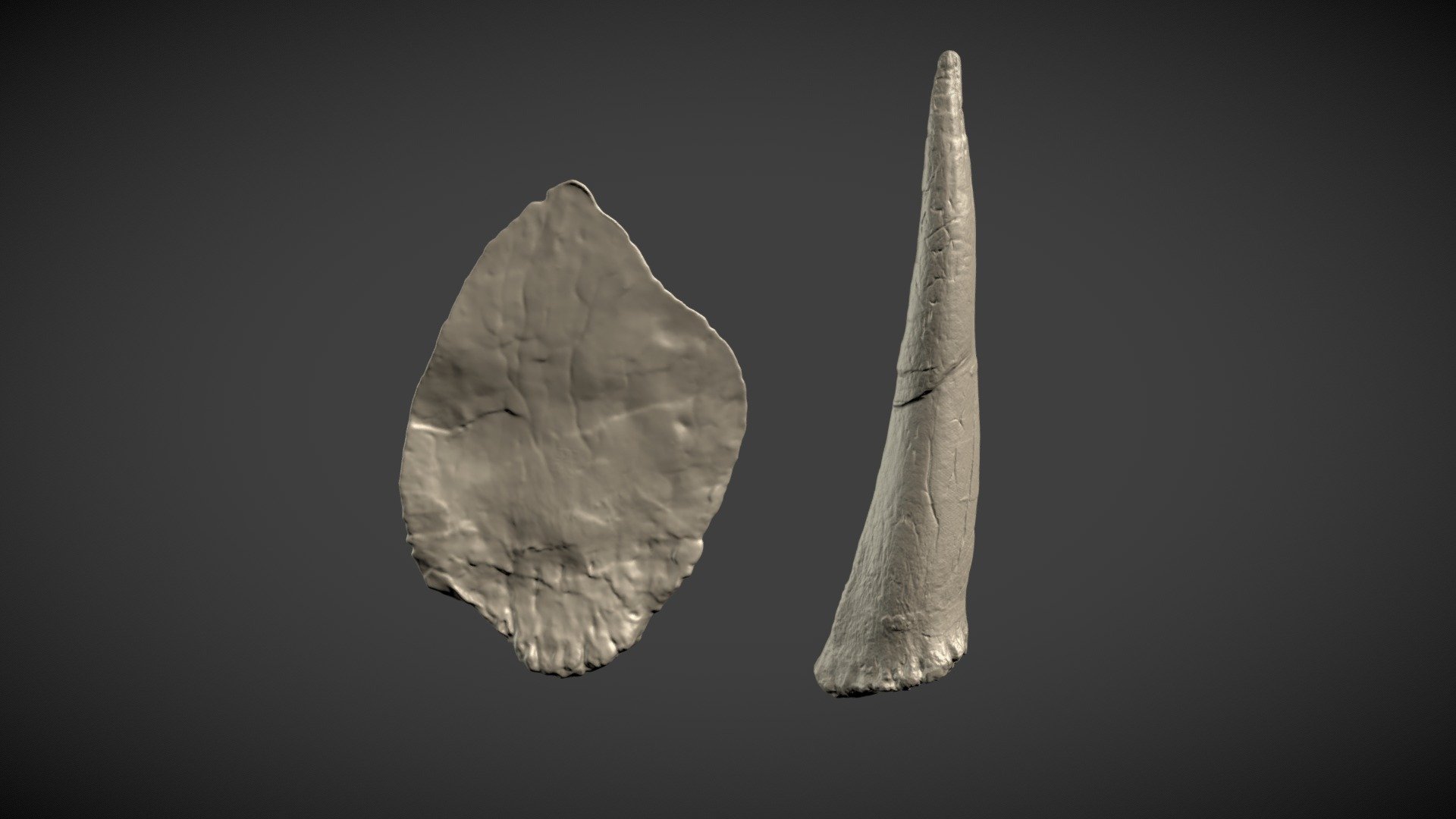 Plate and Spine of Stegosaurus - Download Free 3D model by EDDyLab ...
