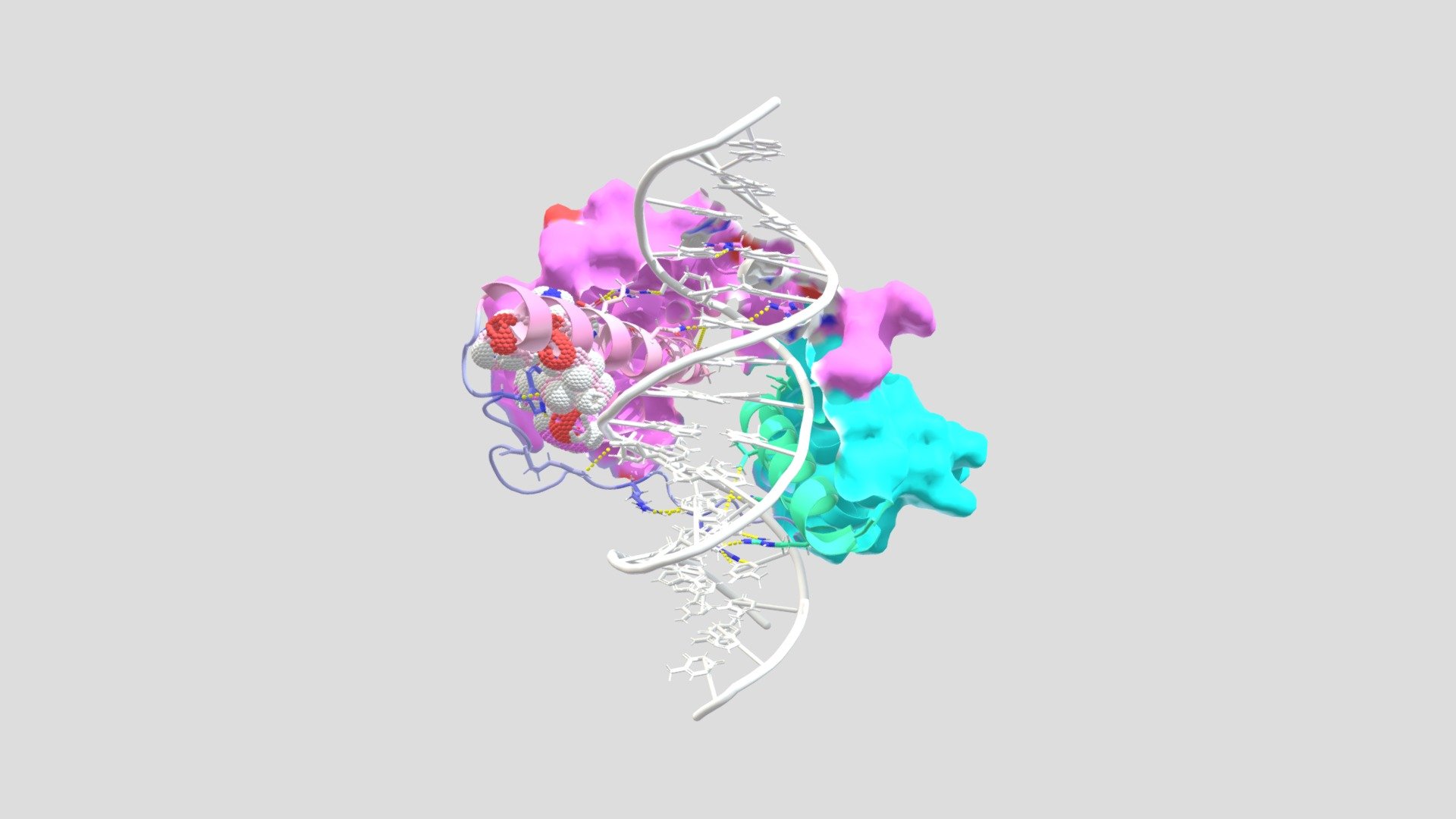 DUX4 - Hugging DNA with the Double Hemoodomain - 3D model by ...