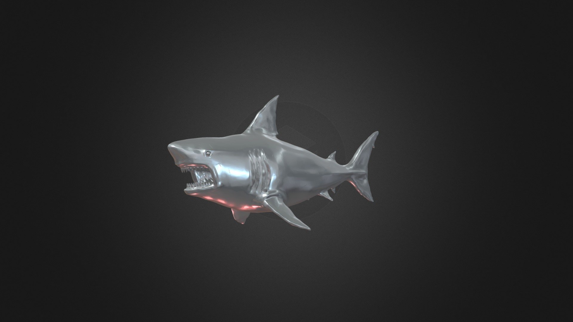 Simplistic Shark Model | Printable - 3D model by AG2024 (@aksyon ...