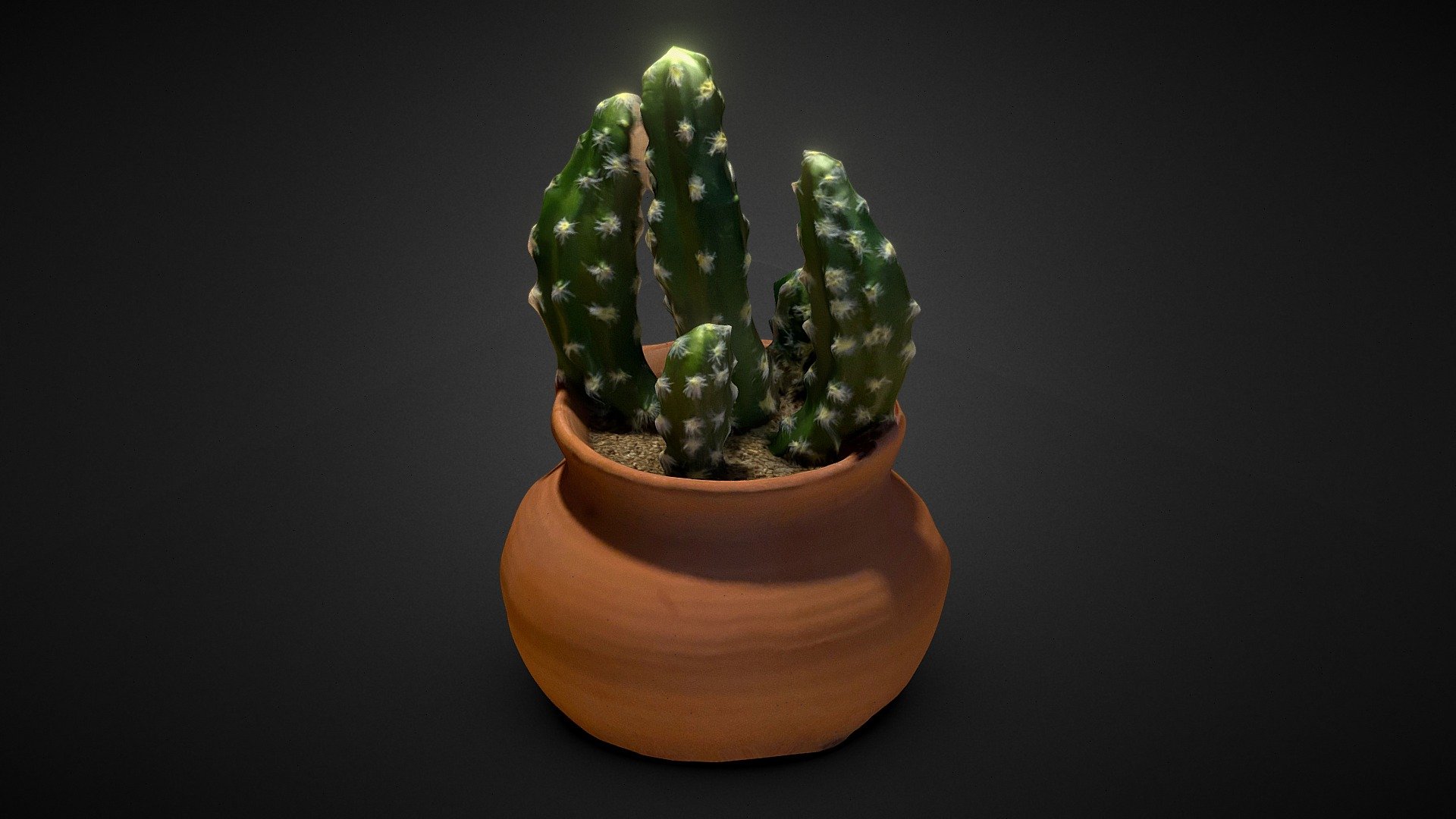 Cactus in a pot - Buy Royalty Free 3D model by infinition [eb4ecba ...