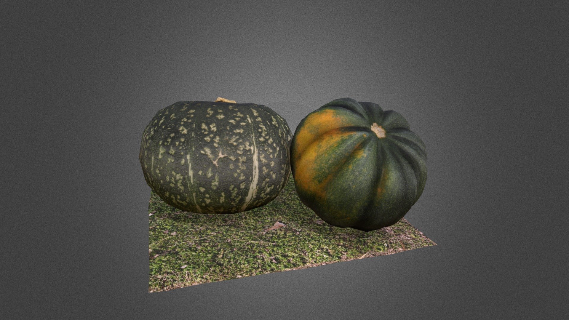 Squash Still Life - 3D model by KrisG (@KrisWT) [eb5238f] - Sketchfab