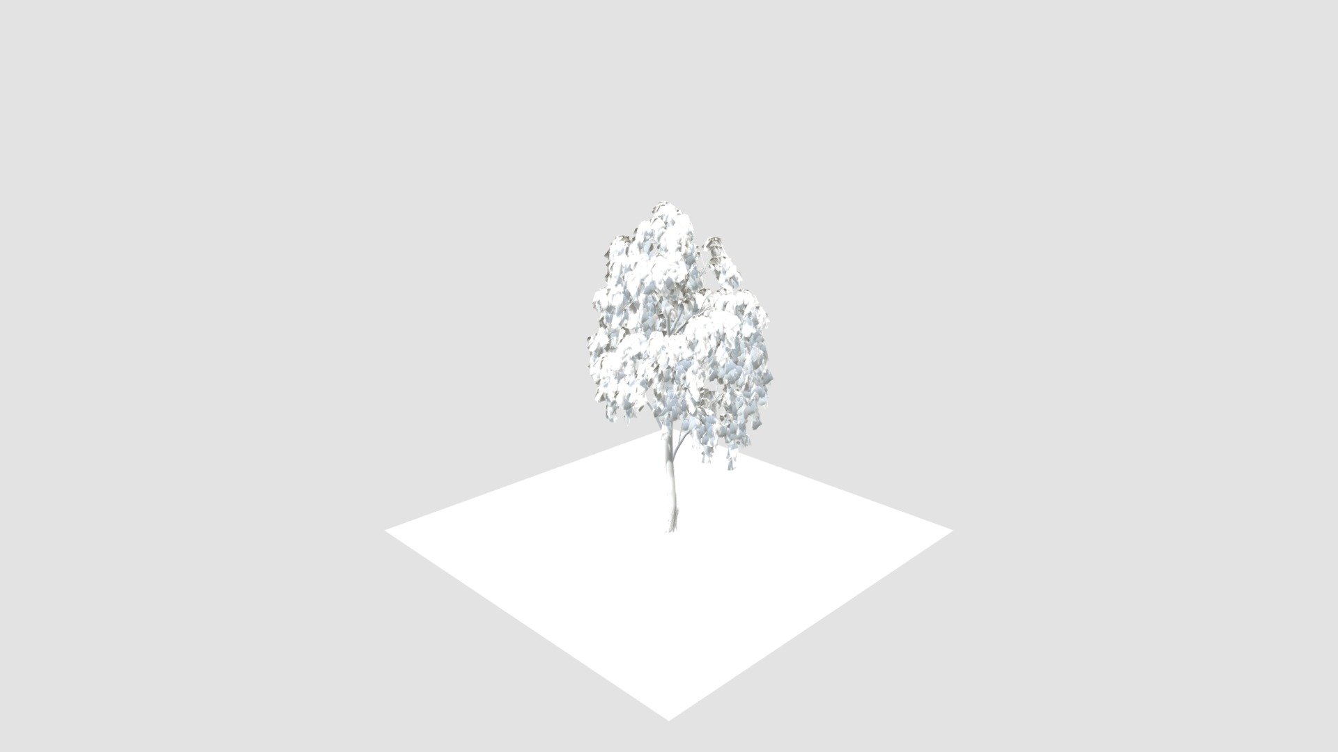 Tree for Blender - Buy Royalty Free 3D model by Evermotion [eb544a7 ...