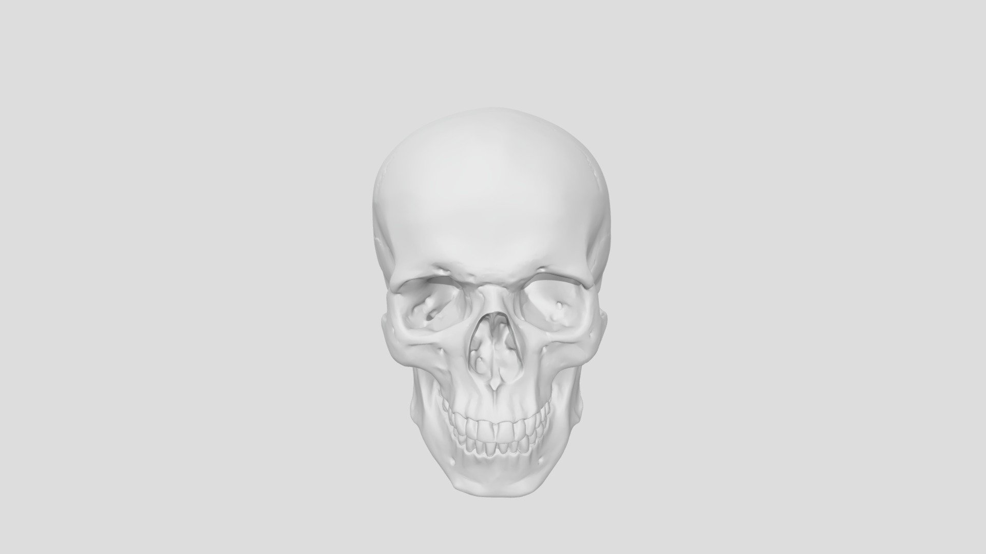 Merged_skull_cleaned_up3 - 3D model by craigvance [eb59317] - Sketchfab